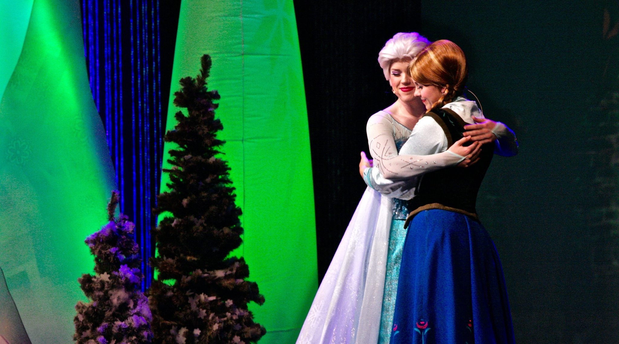 Meet Anna & Elsa at Disney World | Vacatia